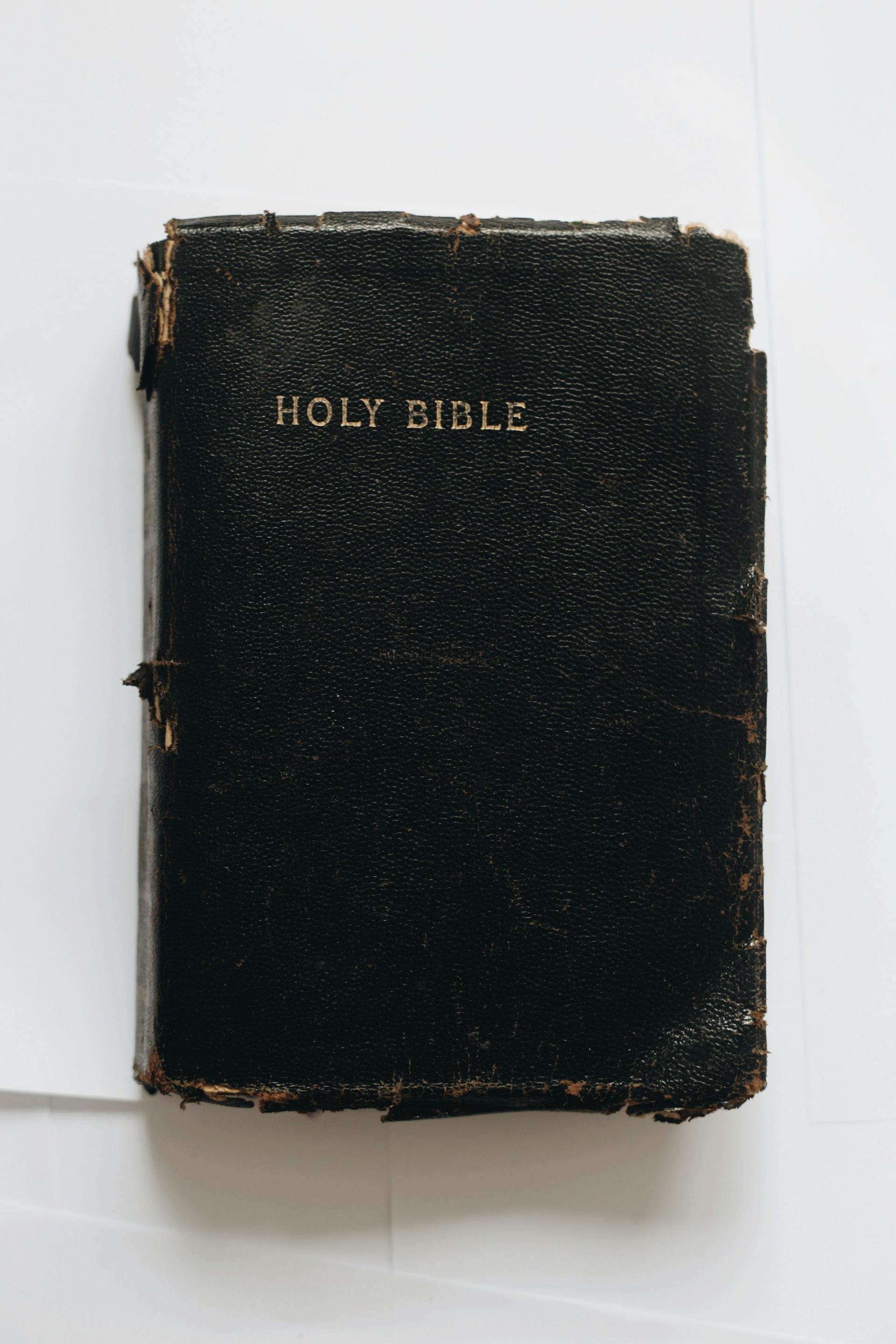 What Is the Main Message of the Bible?
